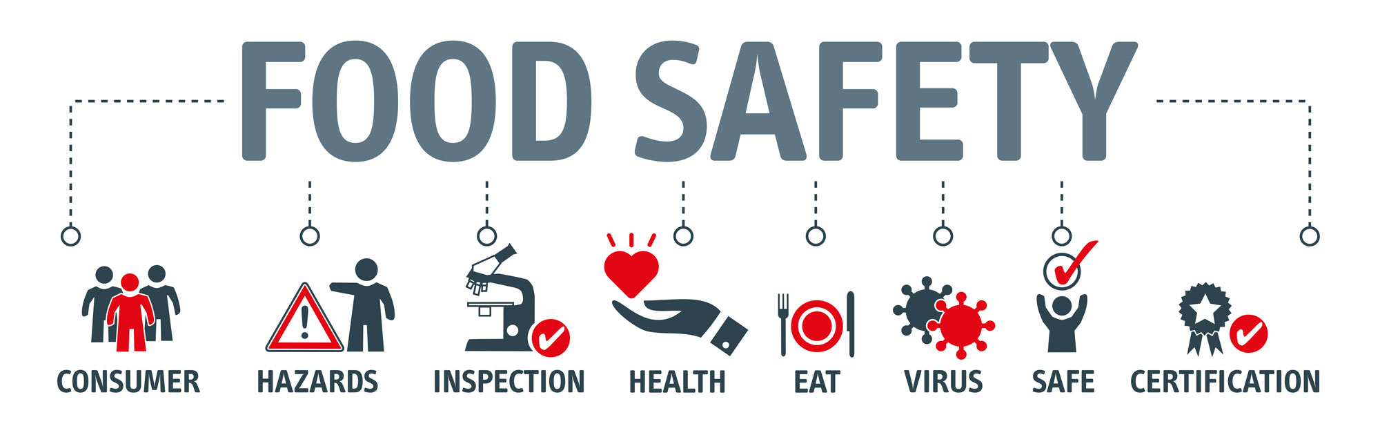 Services – Food Safety Plus